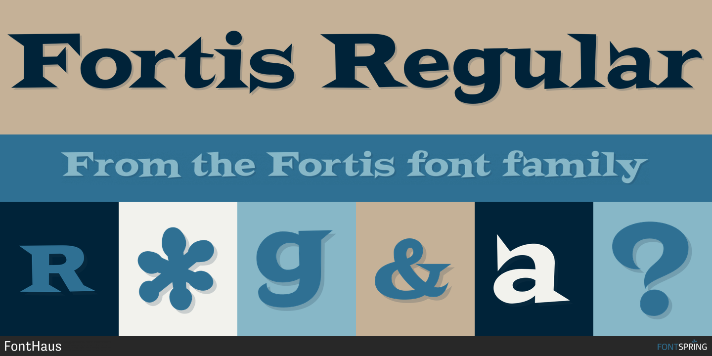 Fonts similar to Fortis