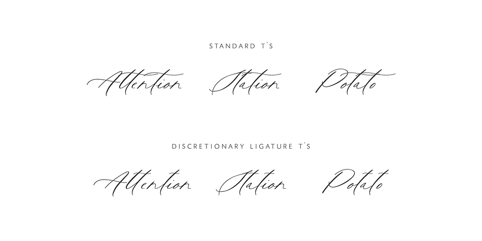 Rare Bird Specimen VI Font