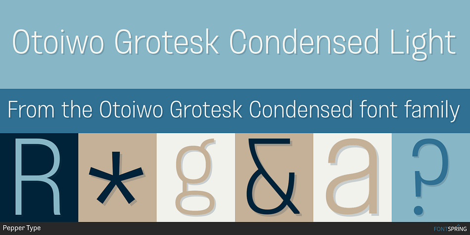 Otoiwo Grotesk Condensed Light Font
