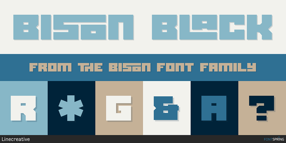 bison Black Font