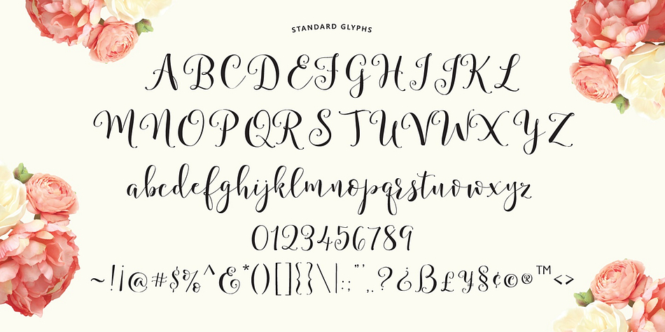 Storybook Font