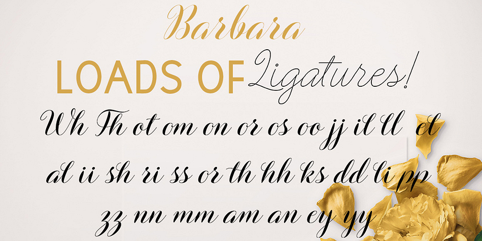 Barbara Script Font