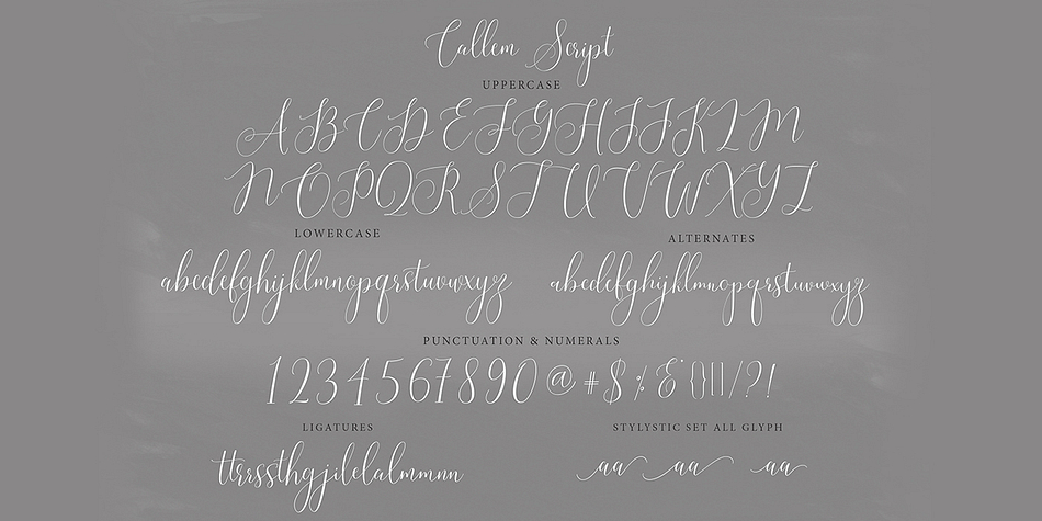Callem Script Font