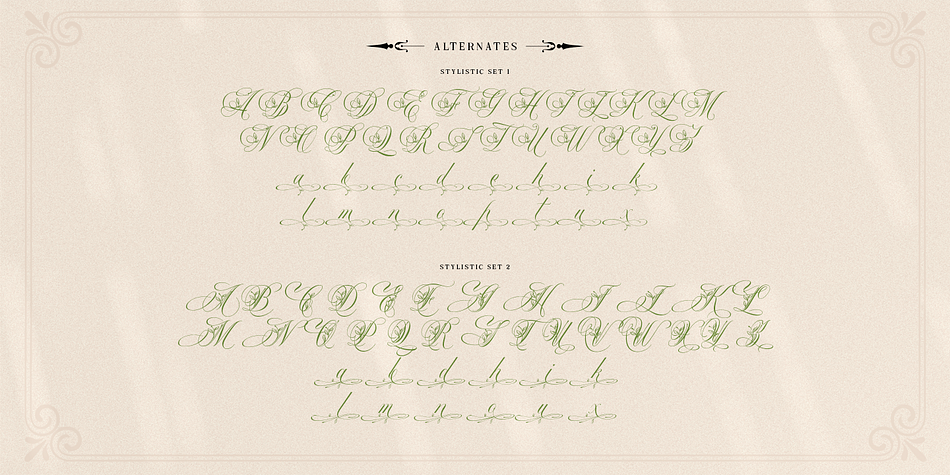 Mollani Nature Script Font
