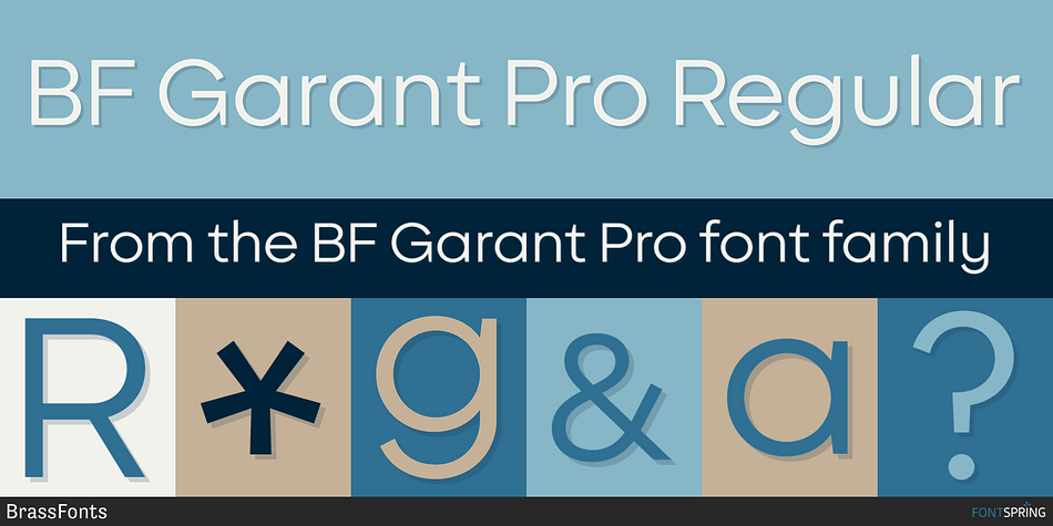 BF Garant Pro Basic Font