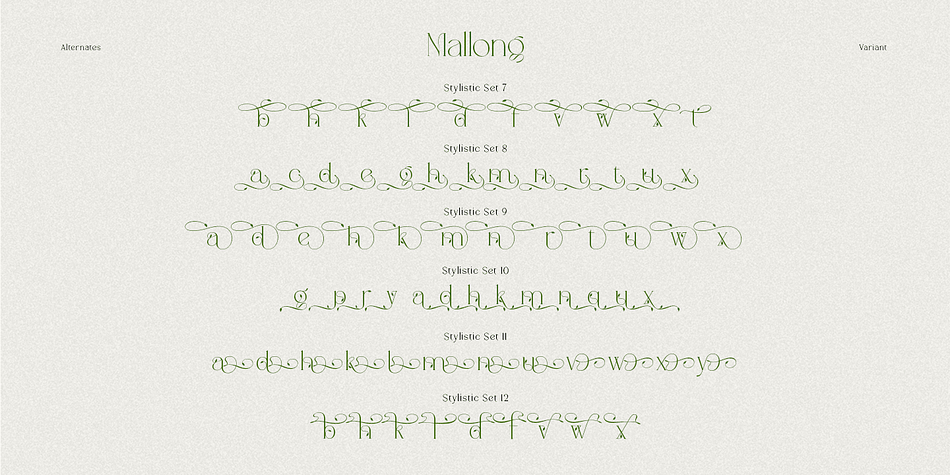 Mallong Font