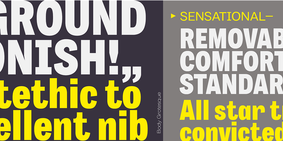 Body Font | Fontspring
