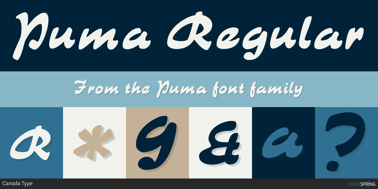 Puma Font