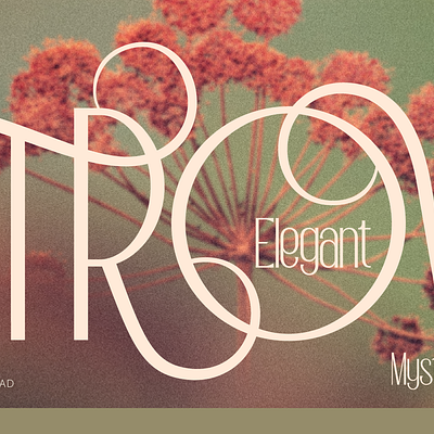 Fontspring. Worry-Free fonts for everyone.