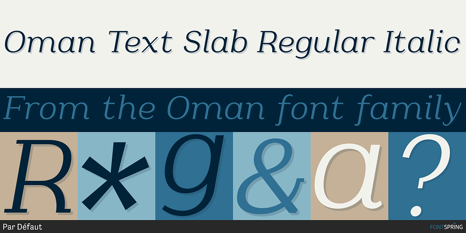 Oman Text Slab Regular Italic Font