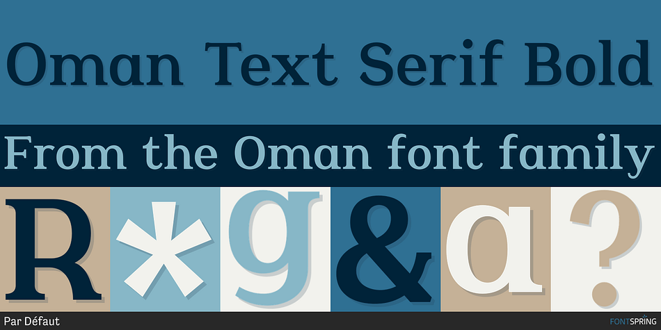Oman Text Serif Bold Font