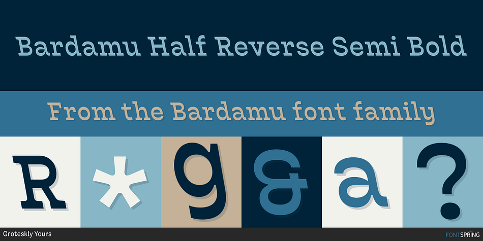 Bardamu Half Reverse Semi Bold Font