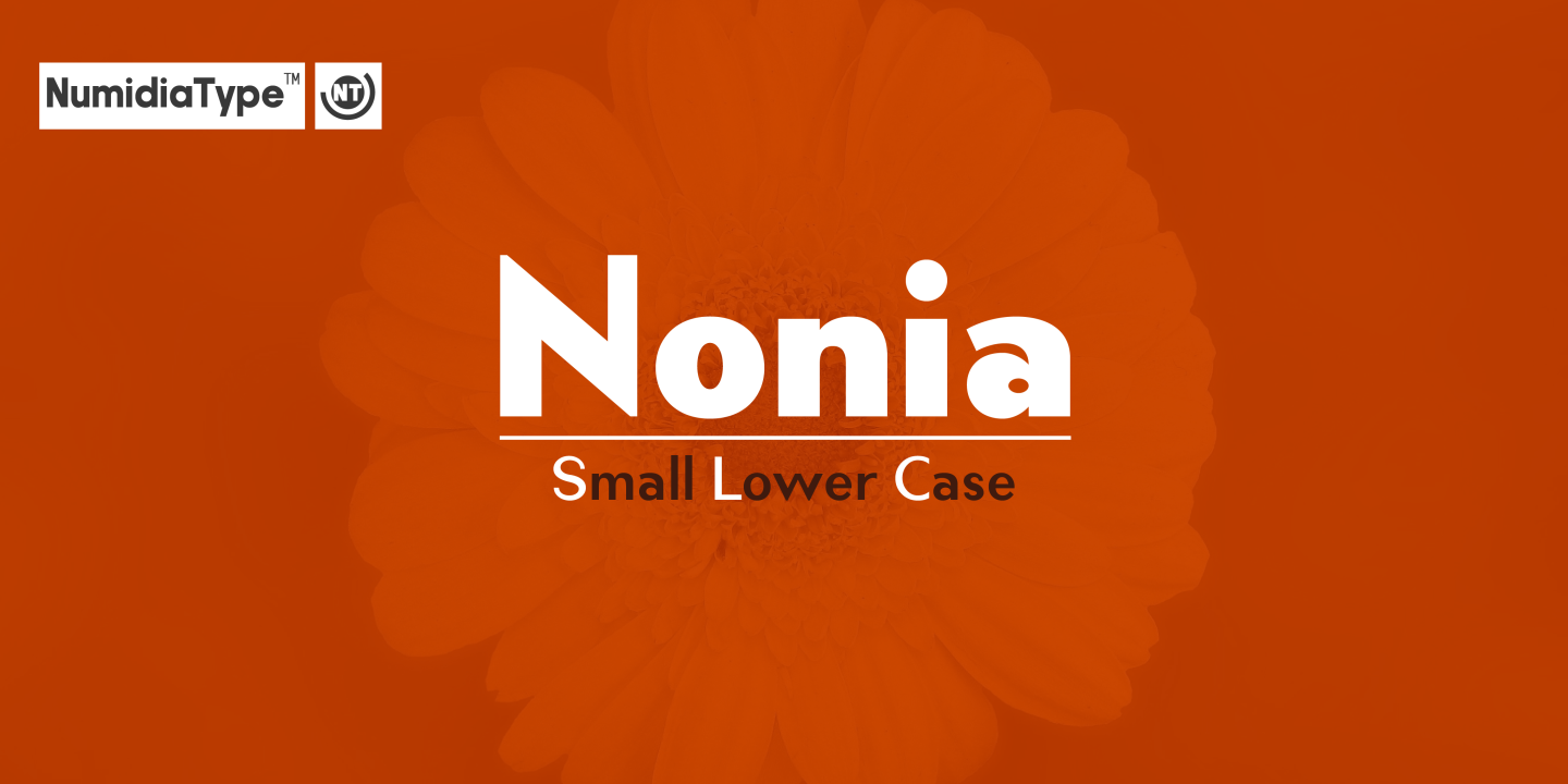 Nonia Small Font