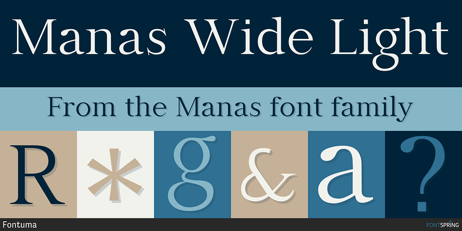 Manas Wide Light Font
