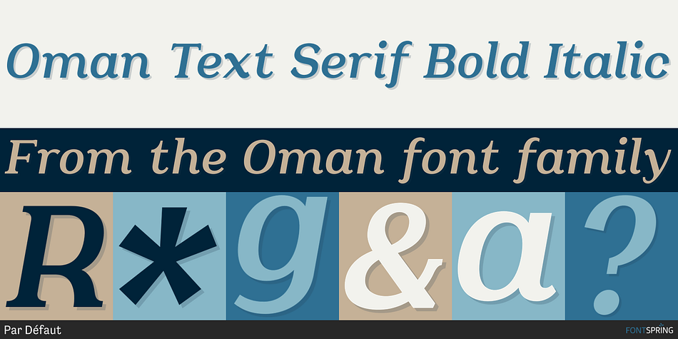 Oman Text Serif Bold Italic Font