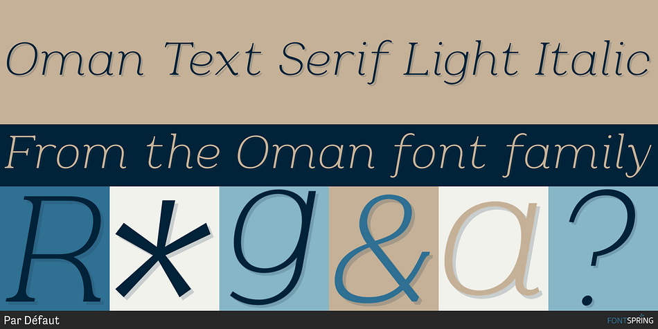 Oman Text Serif Light Italic Font