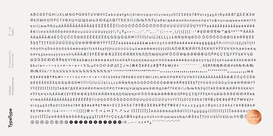 TT Commons Pro Font | Fontspring