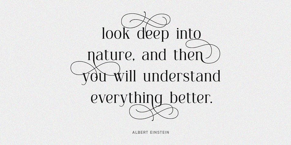 Blissful Beauty Font Family by Letterhend Studio - Fontspring