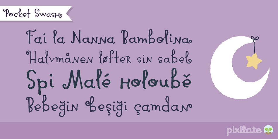 Pocket Swash Font Family by Letradora - Fontspring