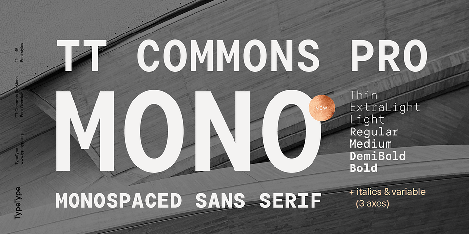 TT Commons Pro Font