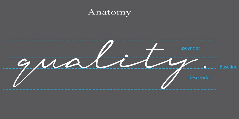 Oliver Quin Font