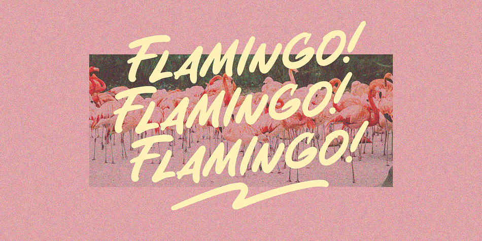 Melina Davidson Font