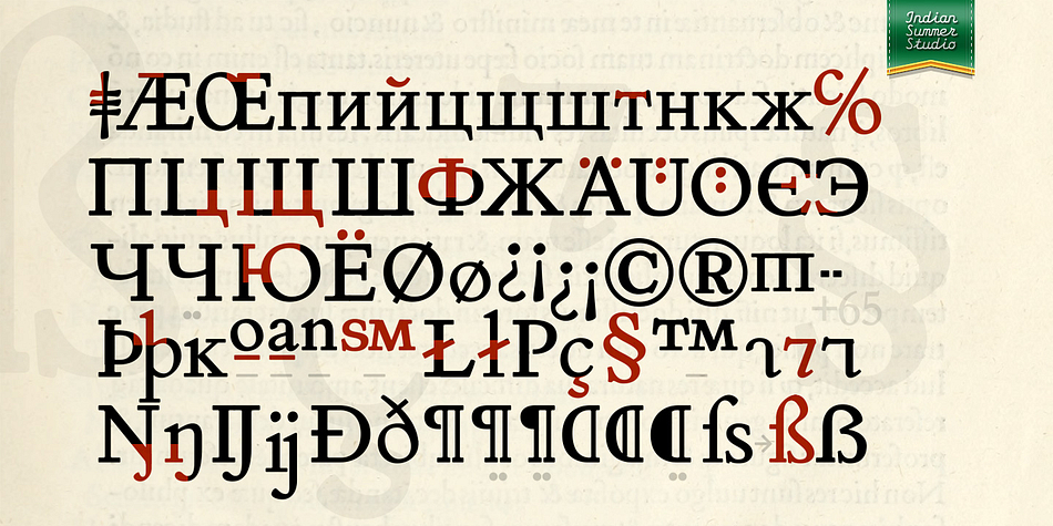 Aldus New Roman Font