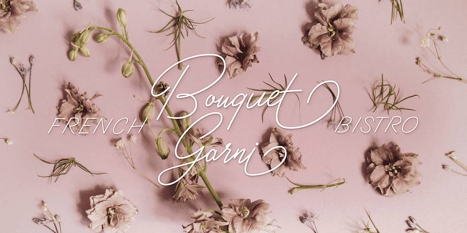 Papillon Script Font