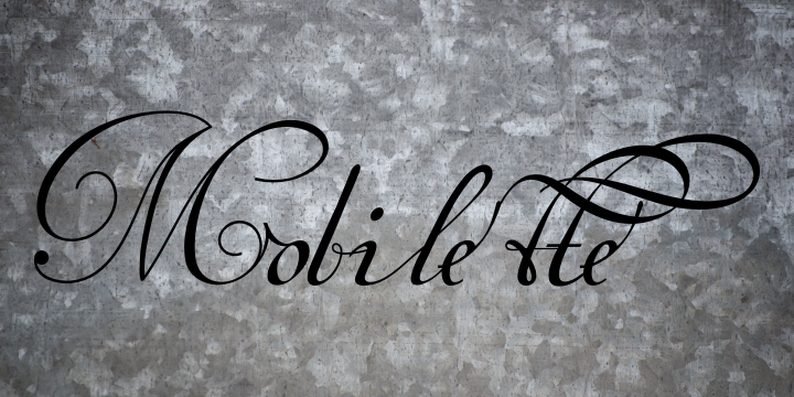 Van den Velde Script Pro Font