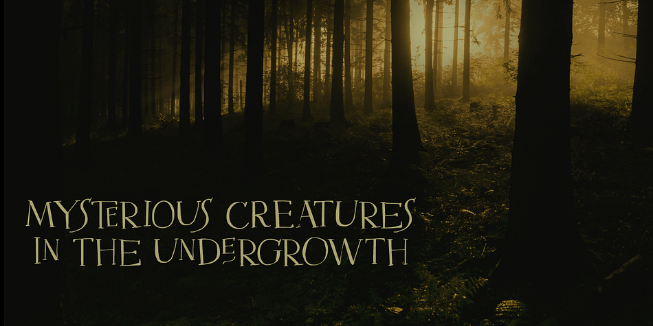 Mysterious Font