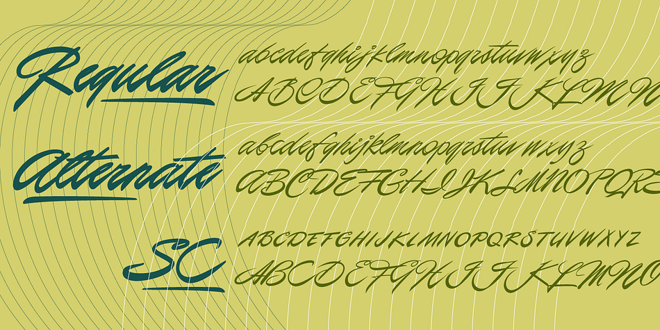 P22 Casual Script Font