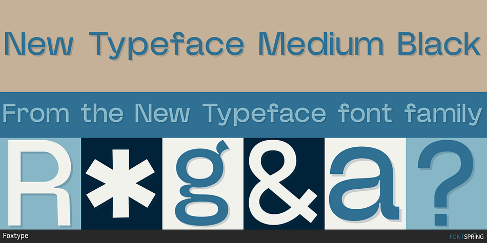 New Typeface Medium Black Font