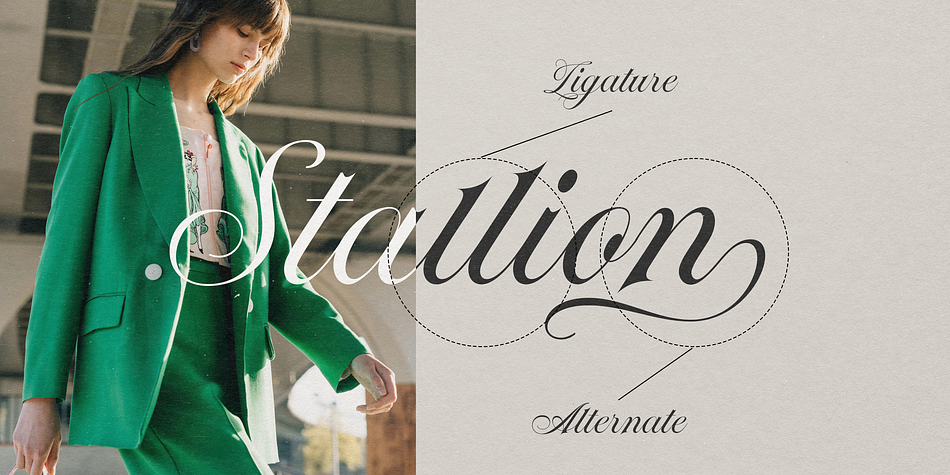 Stallion Font Duo Font
