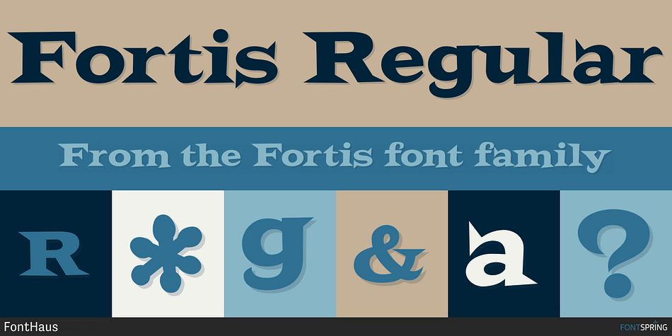 Fortis Regular Font