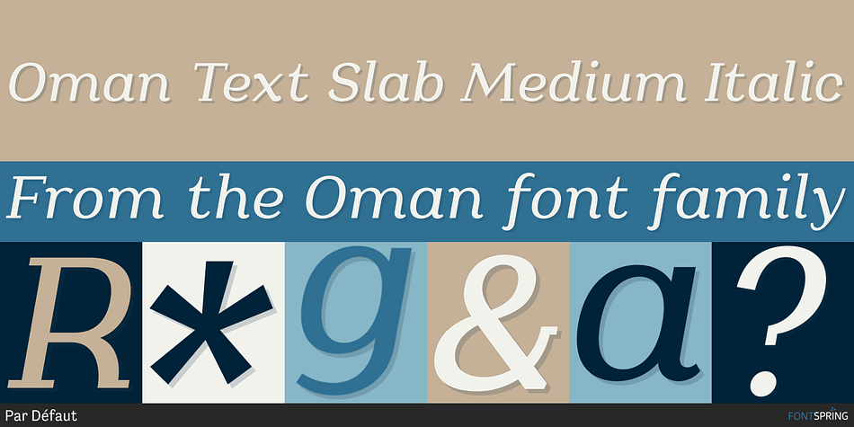 Oman Text Slab Medium Italic Font