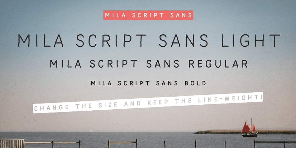 Mila Script Pro Font