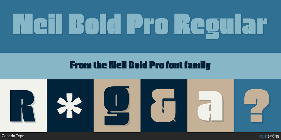 Neil Bold Pro Regular Font