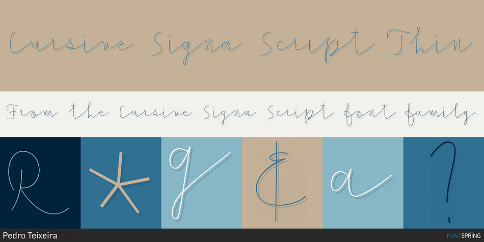Cursive Signa Script Thin Font