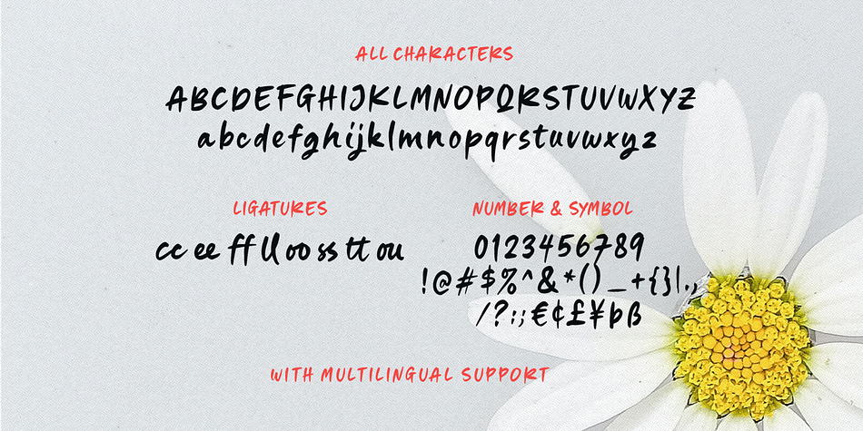 Wide House Font