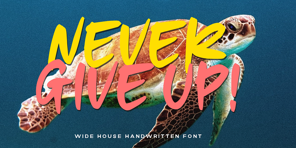 Wide House Font