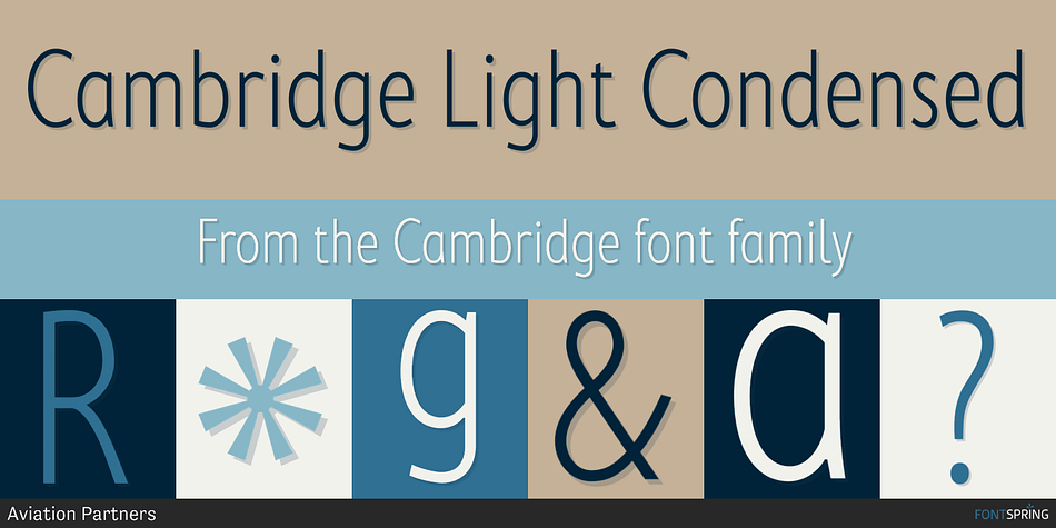 Cambridge Light Condensed Font
