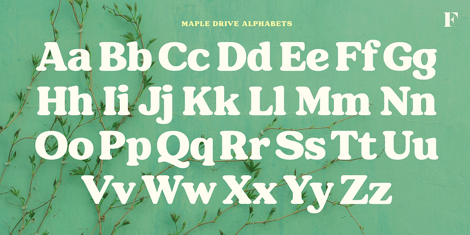Maple Drive Font