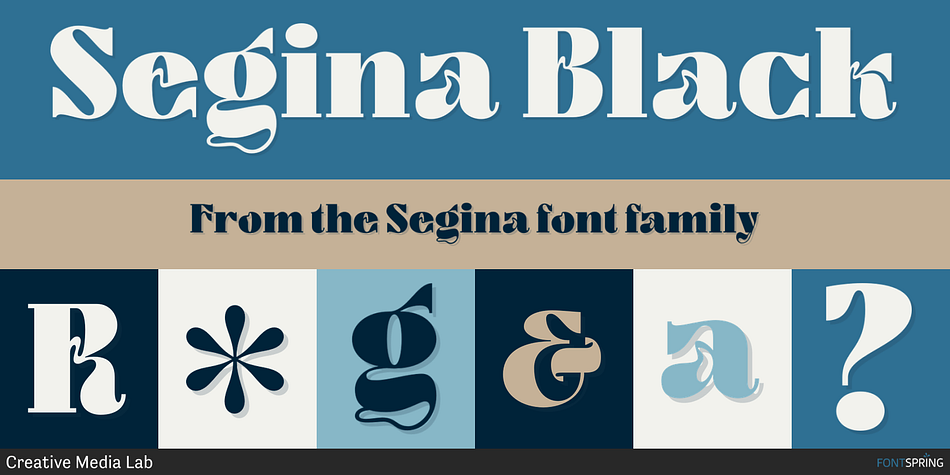 Segina Black Font