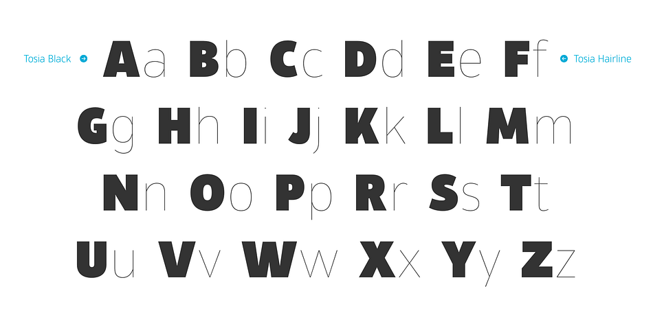 Tosia Font