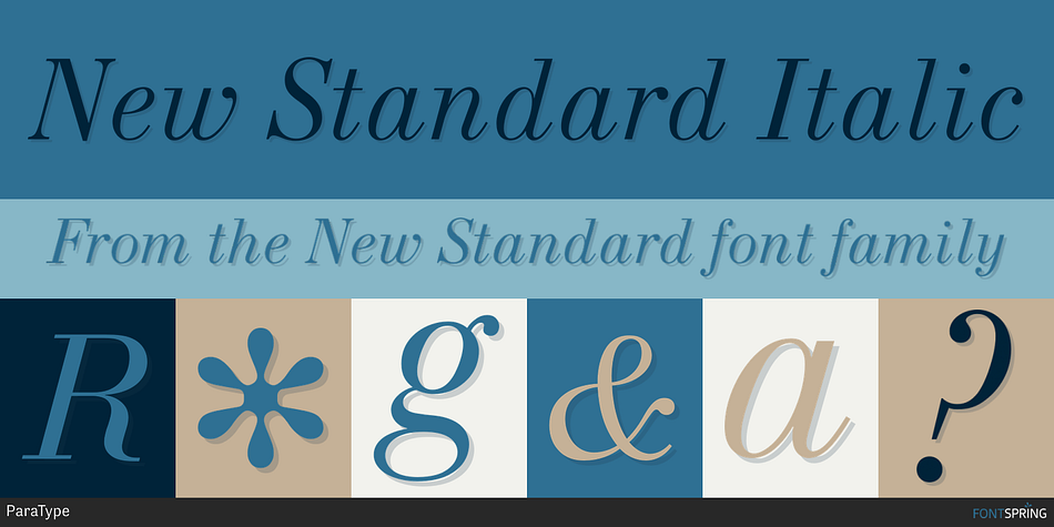 New Standard Font | Fontspring