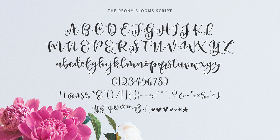 Peony Blooms Font