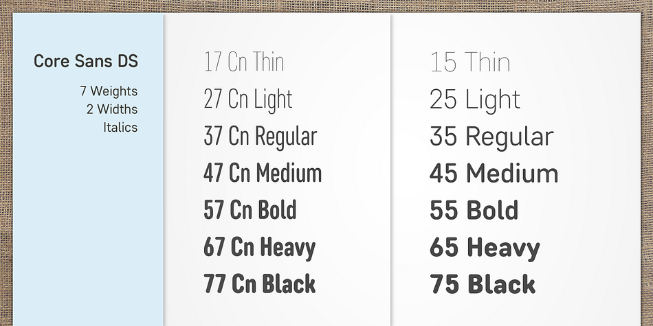 Core Sans DS Font