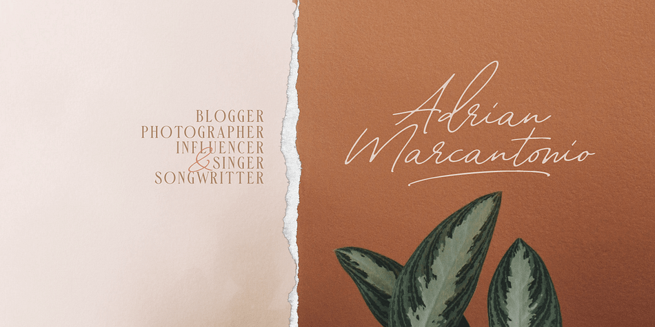 William Letter Font