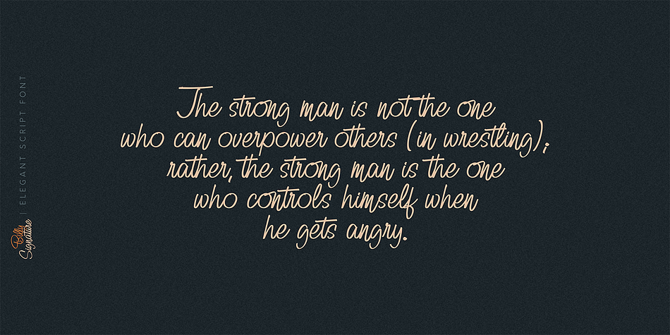 Billy Signature Font
