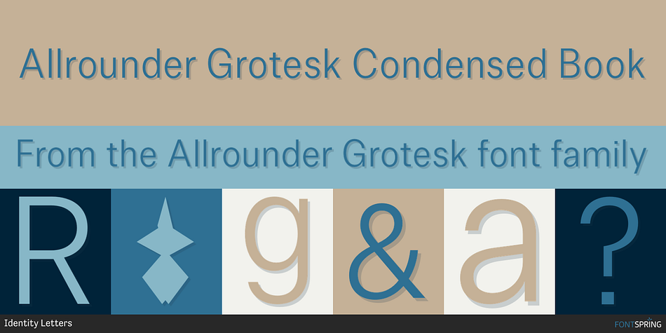 Allrounder Grotesk Condensed Book Font